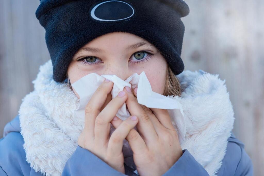 Est-ce que le froid tue vraiment les microbes ? - Toulon.maville.com Est-ce que le froid tue vraiment les microbes ? - Toulon.maville.com