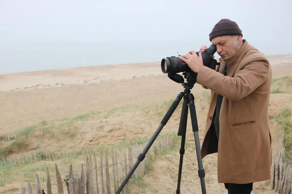Ce week-end en Normandie, on compte les oiseaux d’eau pour leur ...