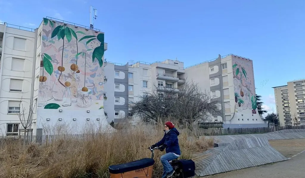 À Angers, qu’elle est cette œuvre de street-art en compétition dans un ...