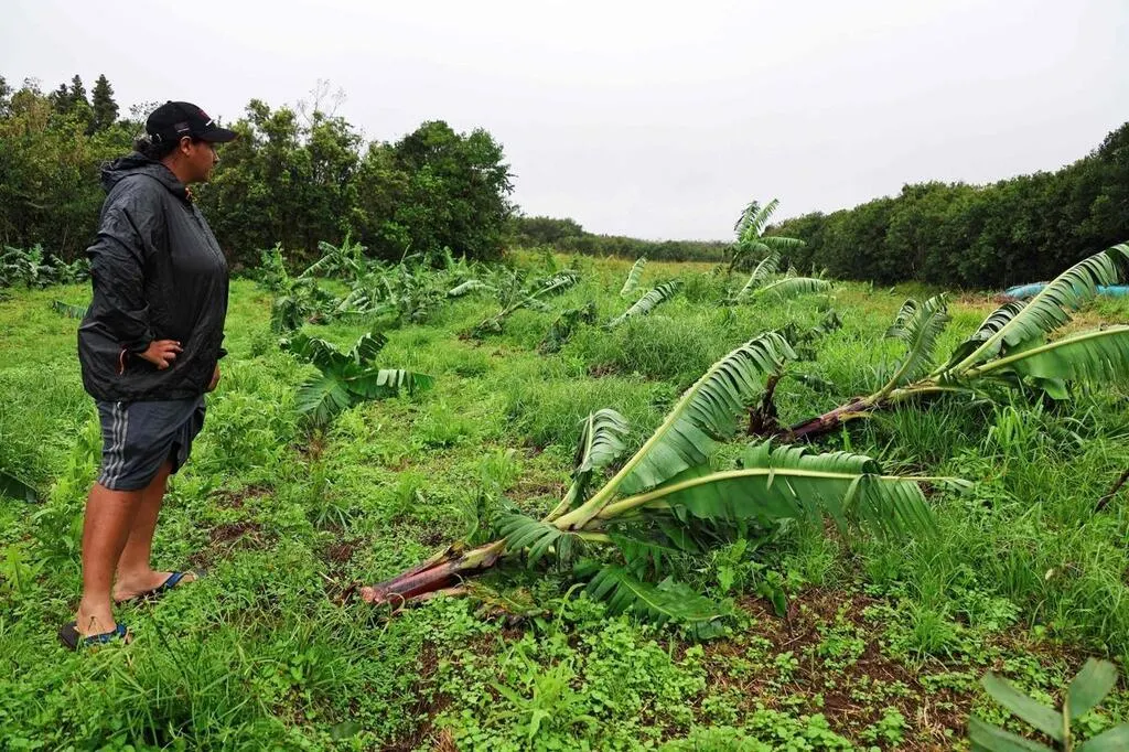 Cyclone Belal : Gérald Darmanin à La Réunion pour rencontrer les ...