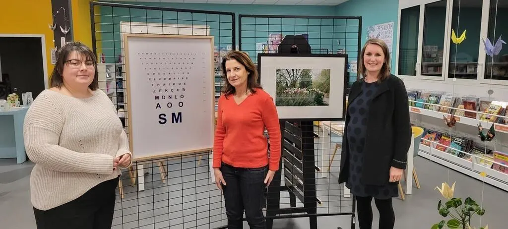 Des œuvres de la galerie fougeraise exposées à la médiathèque de ...