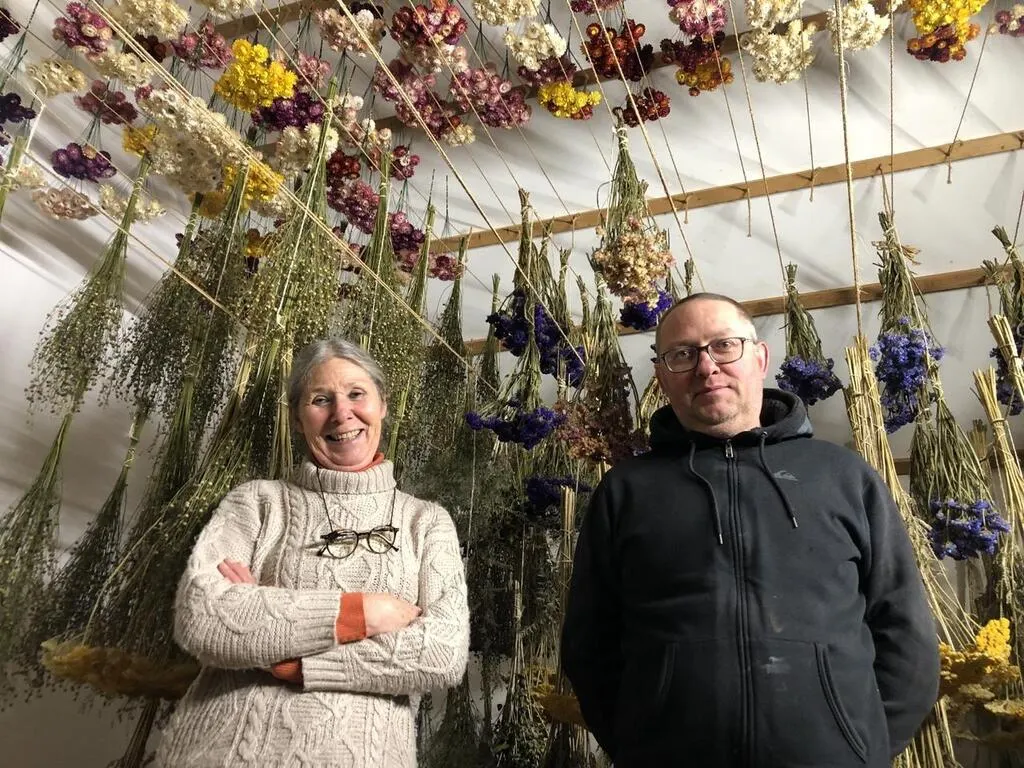 EN IMAGES. Dans le Nord Mayenne, ils produisent en famille des fleurs ...