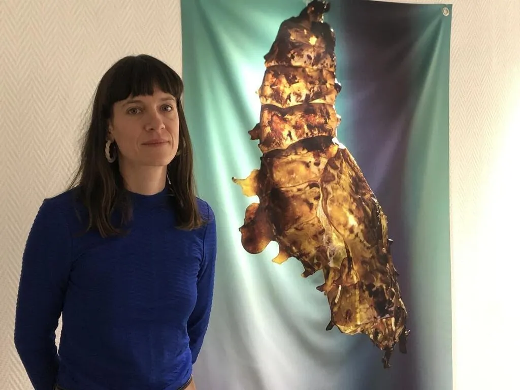 Avrillé. Une place est faite à l’art contemporain au centre culturel ...