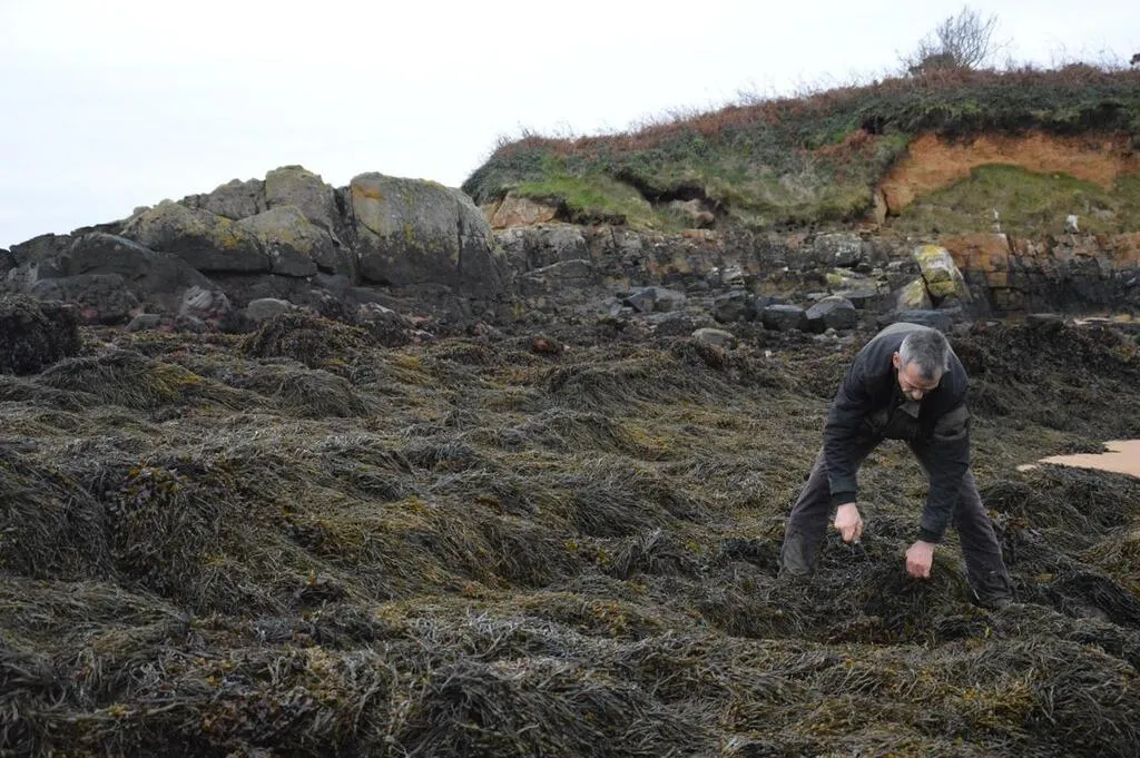 « On est un peu dans la détresse » : la fermeture de Nuwen Setalg ...