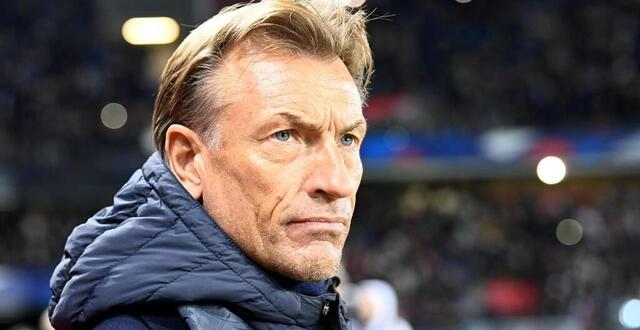 Equipe Dalgérie Hervé Renard Cité Parmi Les Potentiels Successeurs De