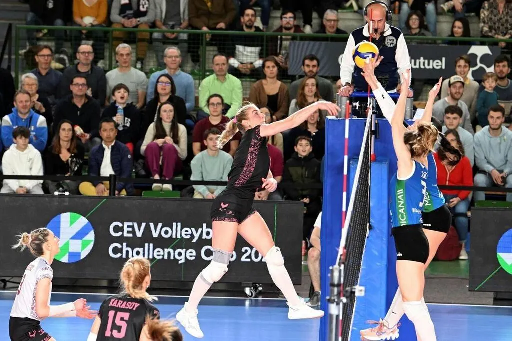 Volley-ball. Ligue AF : les Neptunes de Nantes souffrent mais ...