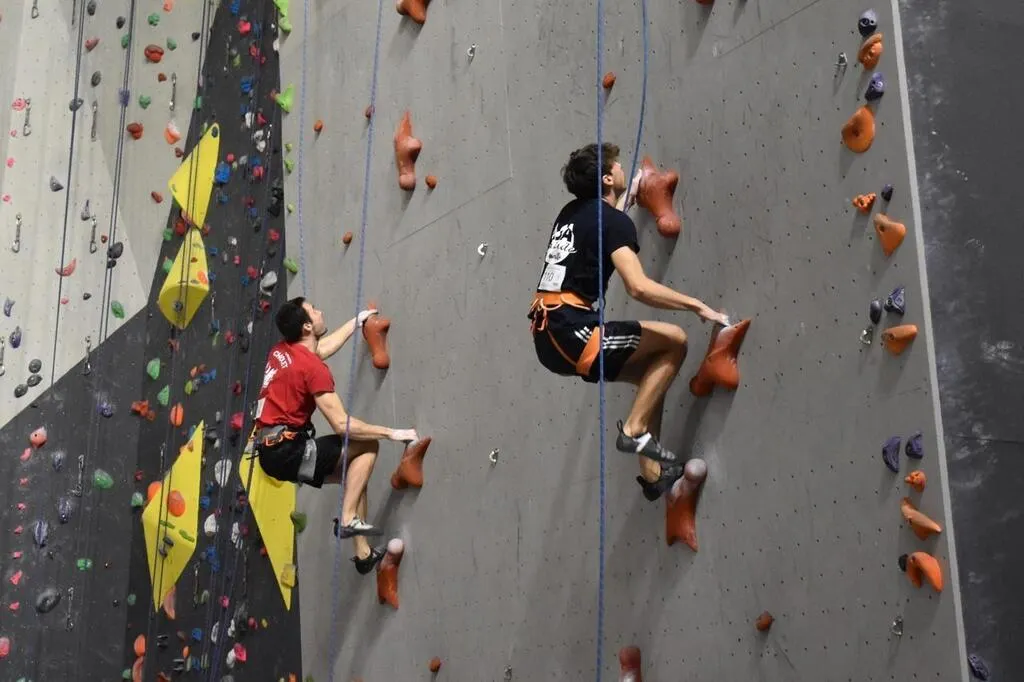 Escalade - Championnat régional de vitesse à Cholet. Le doublé pour l ...