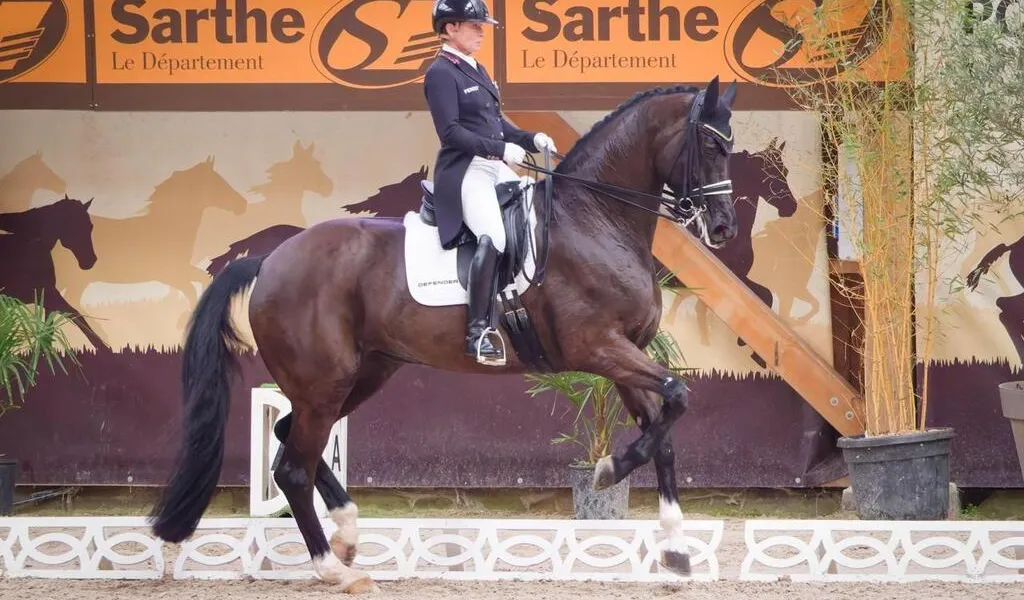 Équitation. Au Boulerie Jump, la septuple championne olympique de ...