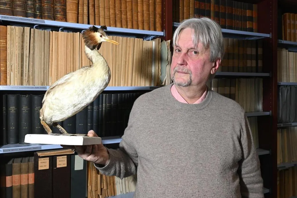 Courts ou longs, ce chercheur de Bretagne est fasciné par les becs d ...