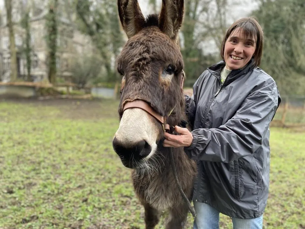 « On veut préserver l’âne normand » : ces éleveurs présenteront ...