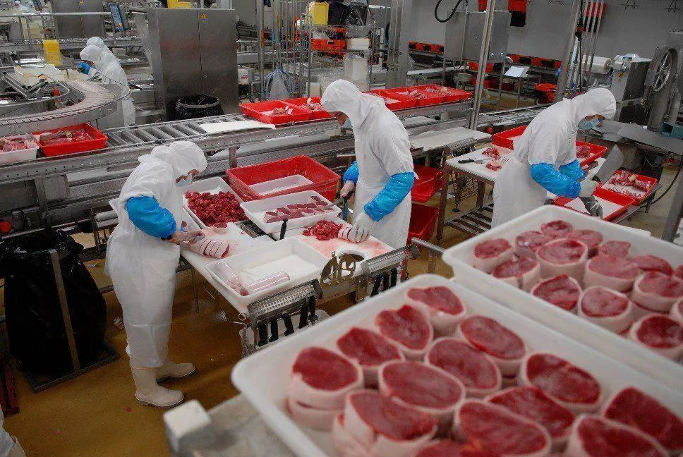 Janzé. Saviel propose 80 postes en travail saisonnier - Saint-Malo ...