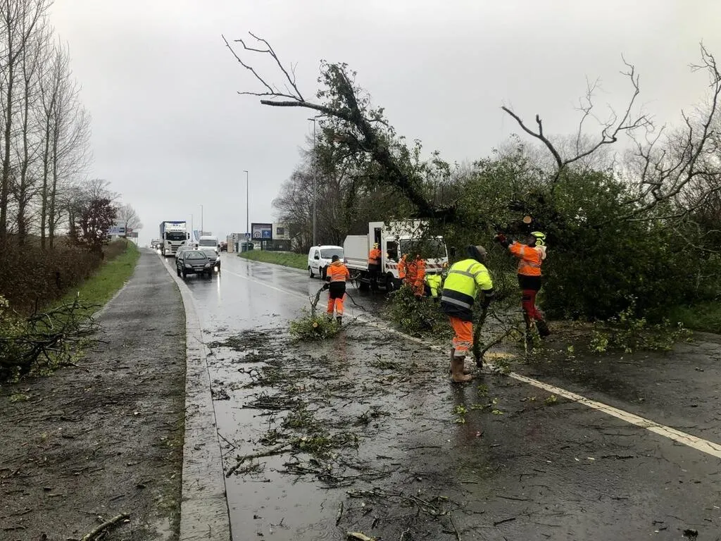 Tempête « Louis » : des arbres tombés à terre sans faire de blessés à ...