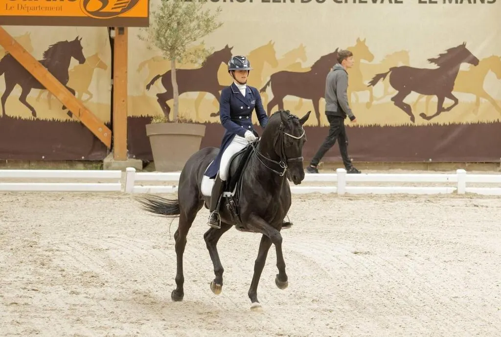 Équitation. Dressage au Boulerie Jump : 867 engagés ce week-end . Sport ...