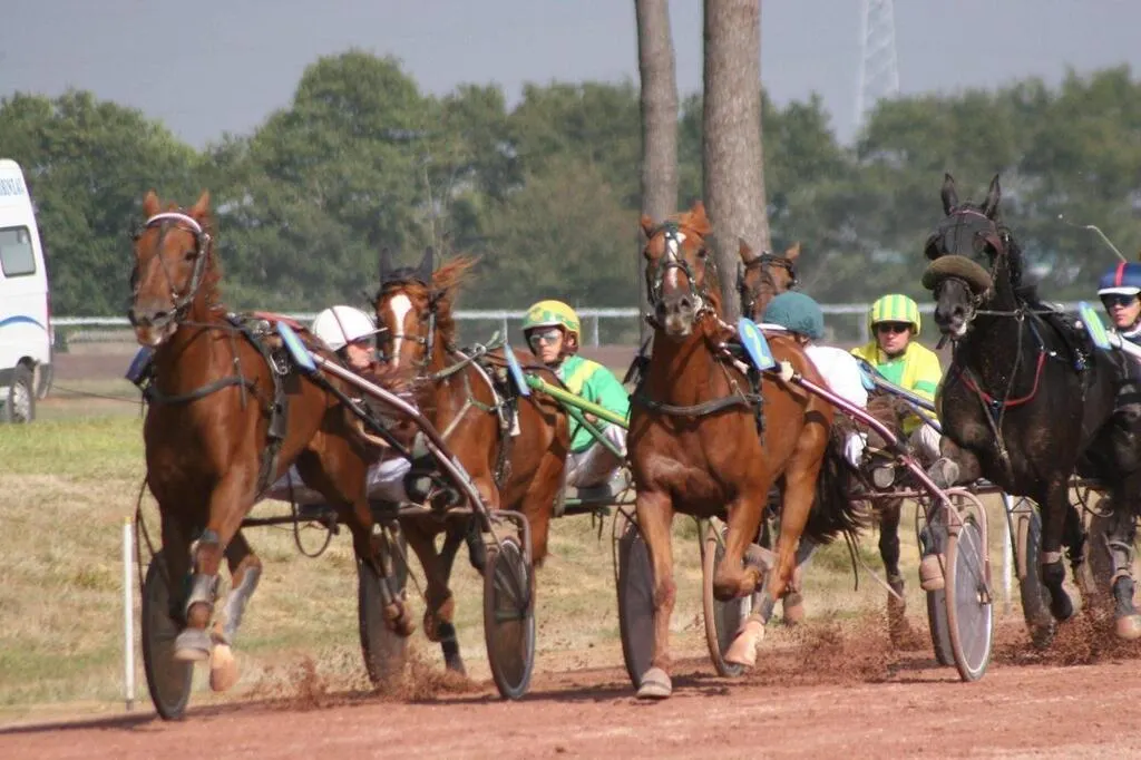 Nos cinq idées de sorties pour ce week-end du 2 et 3 mars à Cholet et ...