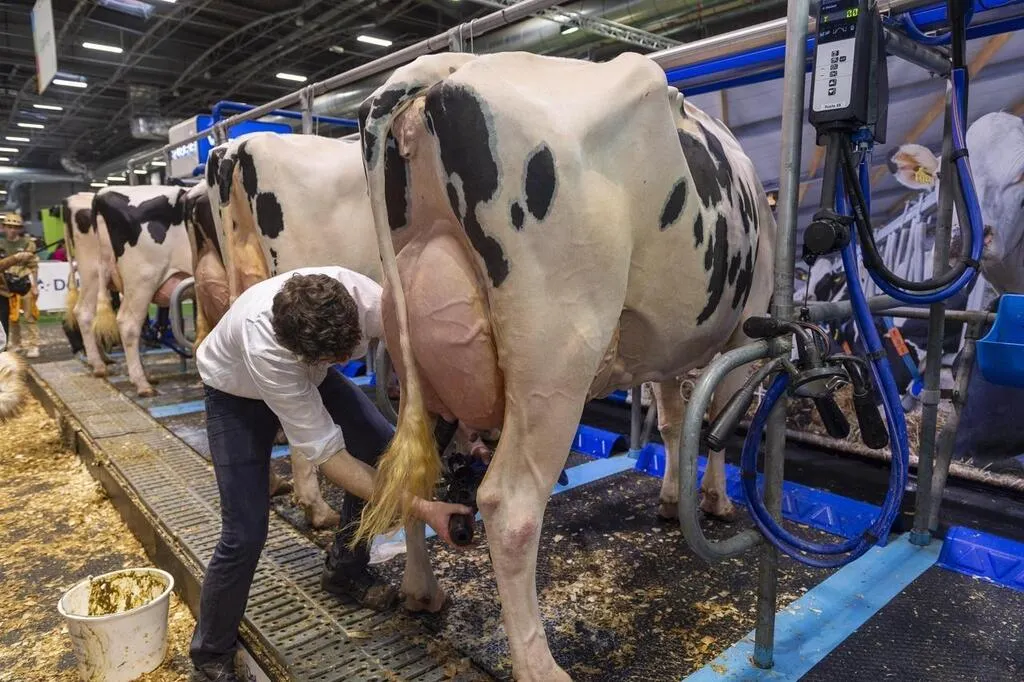 Au Salon de l’agriculture, 60 000 litres de lait sont produits grâce à ...