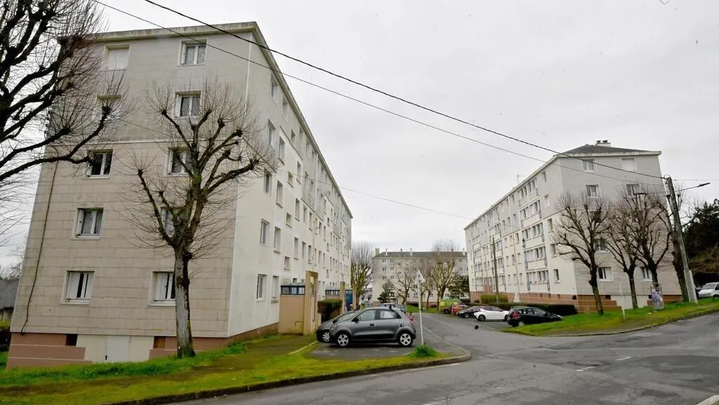 Pauvreté en presqu’île : pourquoi réhabiliter la cité du Rocher à La ...