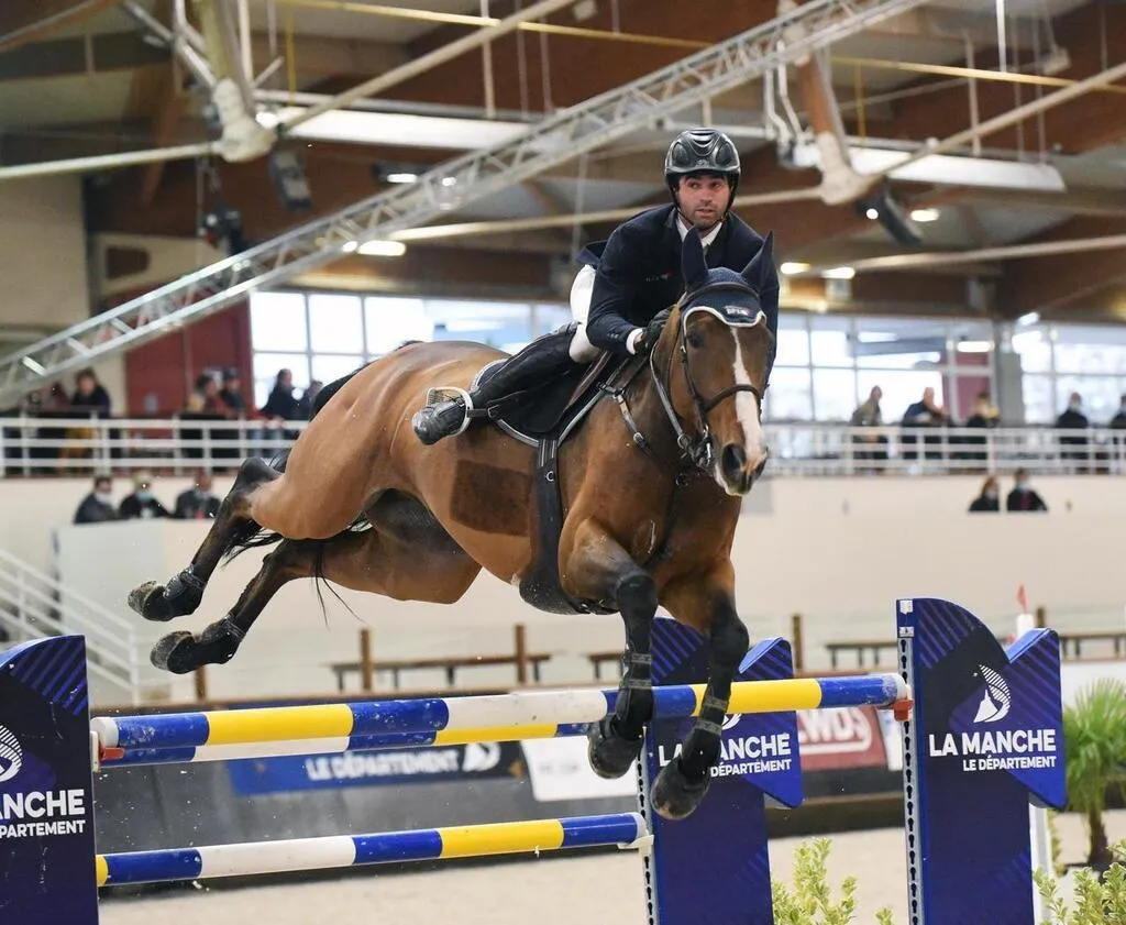 Équitation. L’histoire de Blood Diamond du Pont, le cheval qui a ...