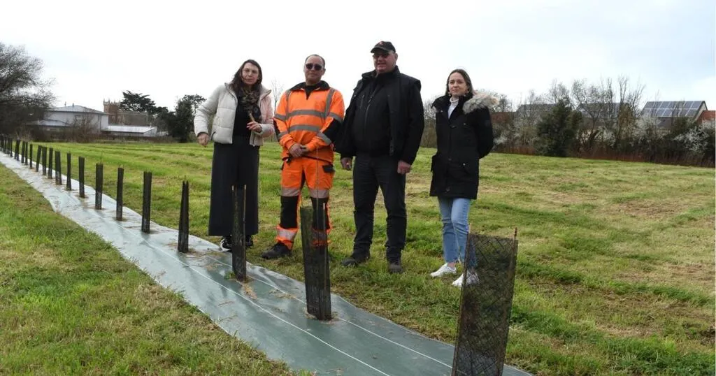 Saint-Pair-sur-Mer. Plus de 700 arbustes pour des haies bocagères ...