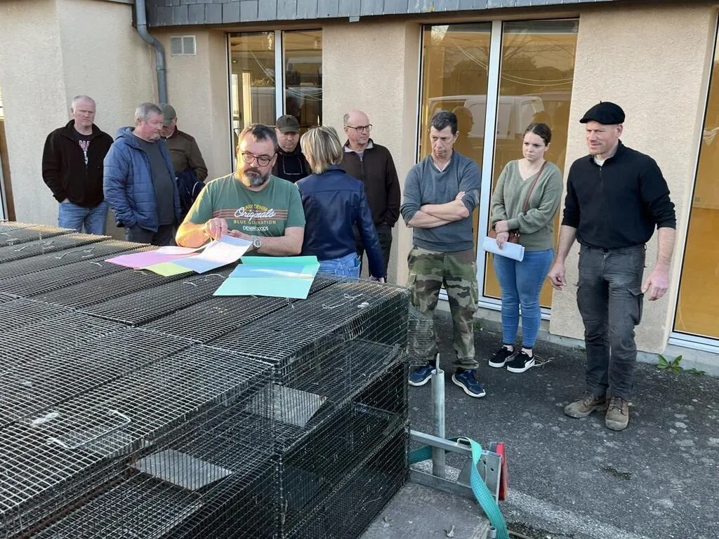 La 3e campagne de capture des ragondins et rats musqués est lancée à ...