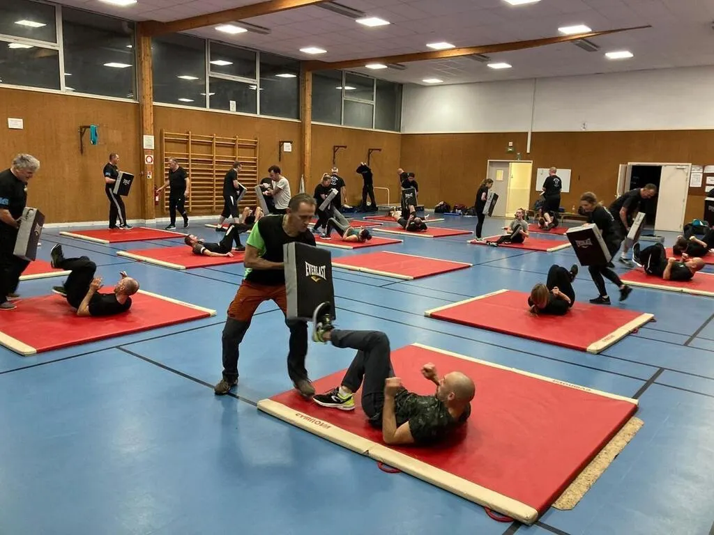 Un expert international de Krav maga animera un stage à Niort les 5 et ...