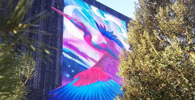 Pléchâtel. Un héron géant a pris son envol au Cap Koad - Fougères ...