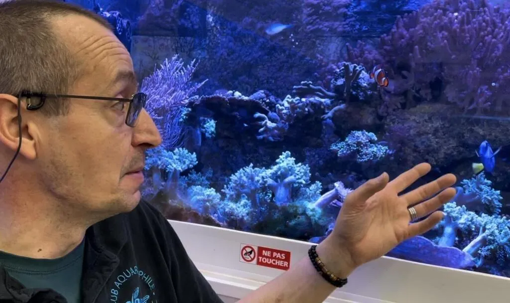 Il bouture les coraux des mers du sud : dans son club, en Bretagne ...