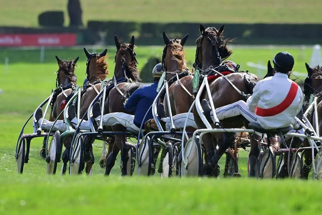 Star montante de l’hippisme, Stefano Cherchi est décédé à 23 ans des ...