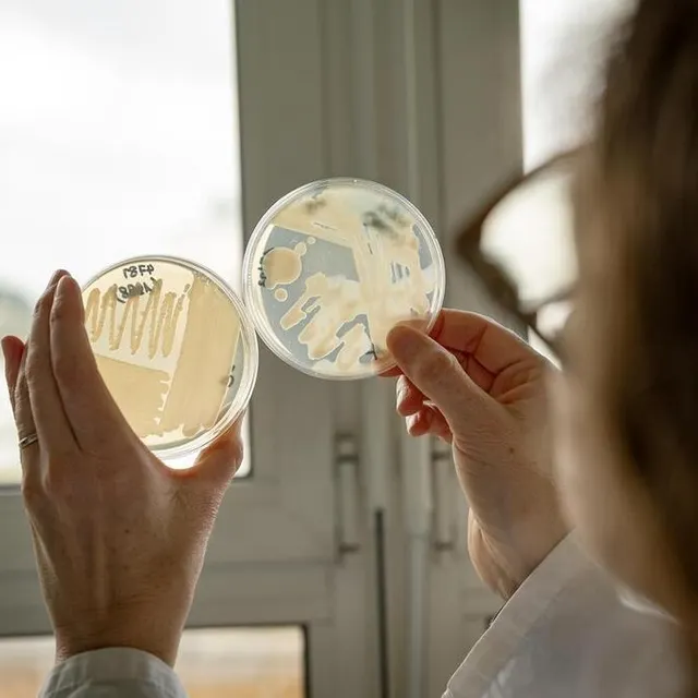 « Mon métier, c’est de collectionner les bactéries ! » : Perrine ...