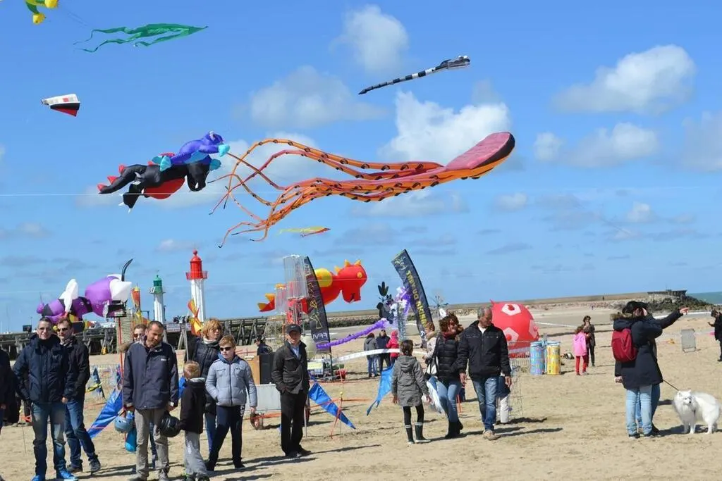 80 cerfs-volistes attendus au Festival du cerf-volant de Trouville-sur ...