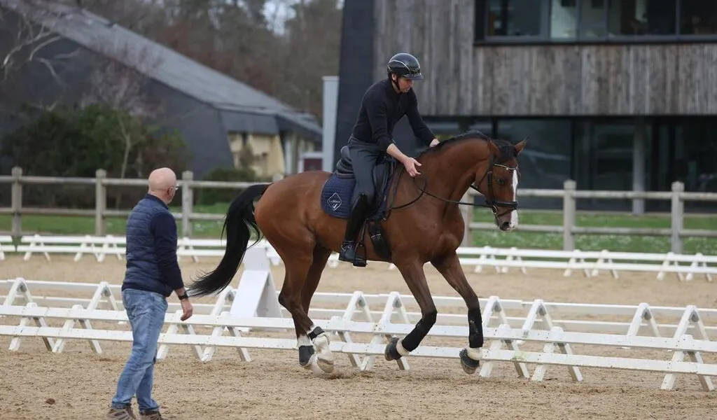 Jeux olympiques. Pas de compétition pour le cavalier Sarthois Thomas ...