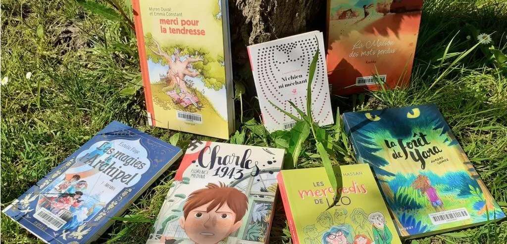 Loiron-Ruillé. Le Prix roman jeunesse tient ses sept livres finalistes ...