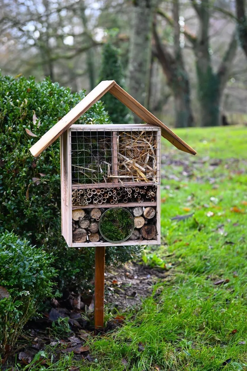 Biodiversité : voici comment fabriquer un hôtel trois étoiles pour les ... Biodiversité : voici comment fabriquer un hôtel trois étoiles pour les ...
