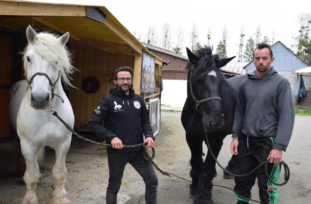 Pommerit-le-Vicomte. Du cirque contemporain avec la compagnie Volti ...