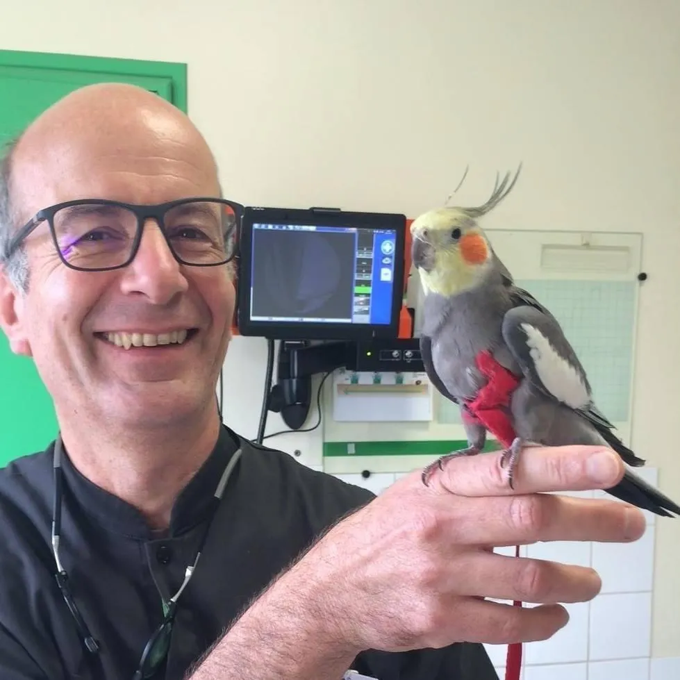 Mort en mer, le skipper Philippe Benoiton « rêvait de la Cap Martinique ...