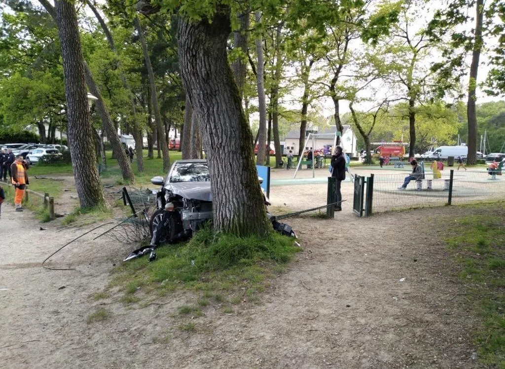 À Vannes, l’octogénaire confond le frein et l’accélérateur : il finit dans un arbre - Lannion ...