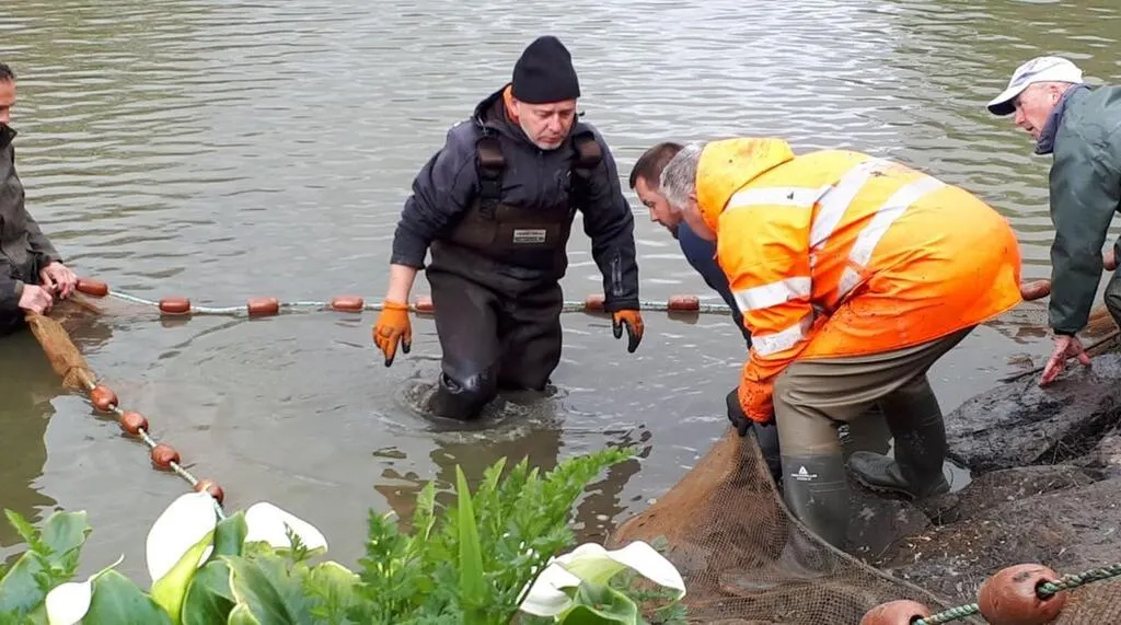 Saint-Pôtan. Un coup de filet à l’étang de la Roche - Saint-Brieuc ...