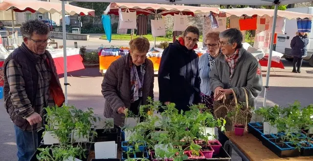 Avessac. Beau succès de la distribution de plants au marché - La Baule ...
