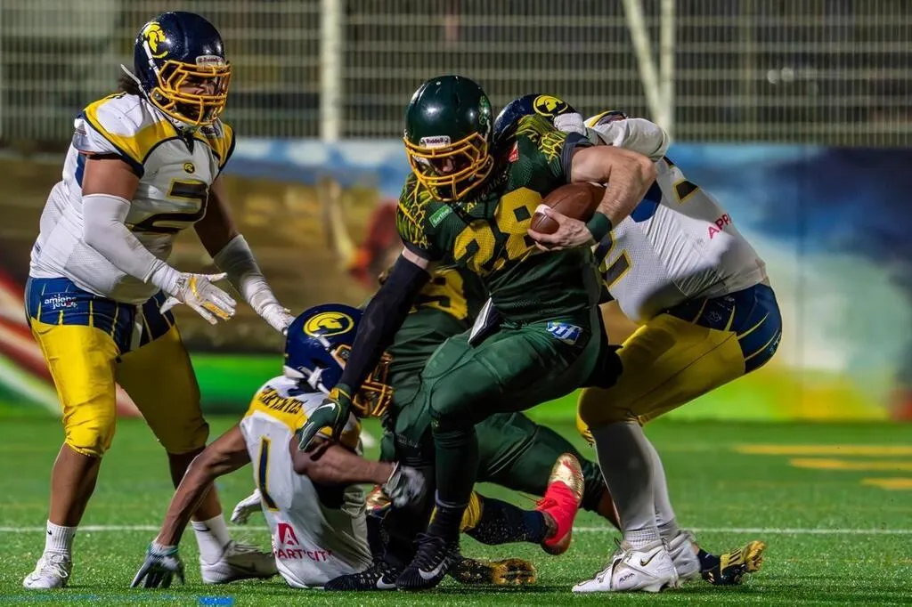 Football américain. D2 : chez les Vikings, les Caïmans seront amoindris ...