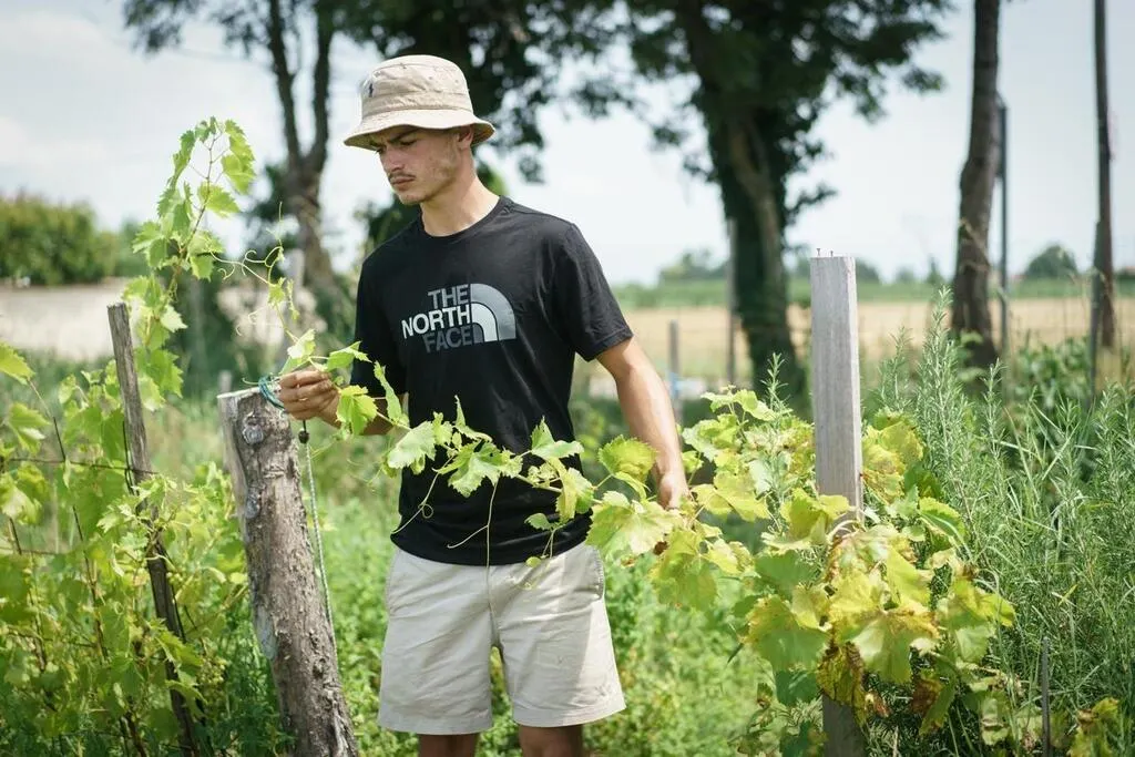 PORTRAIT. Goran le permaculteur, la jeune pousse au million d’abonnés ...