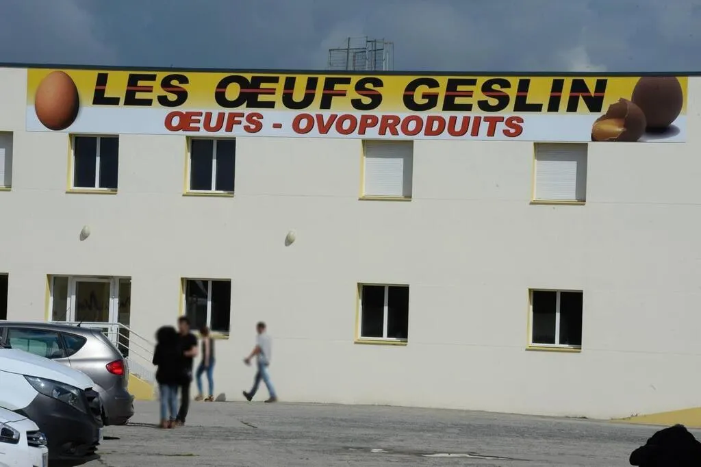 Les Œufs Geslin soupçonnés de tromperie : le parquet saisi en Vendée ...