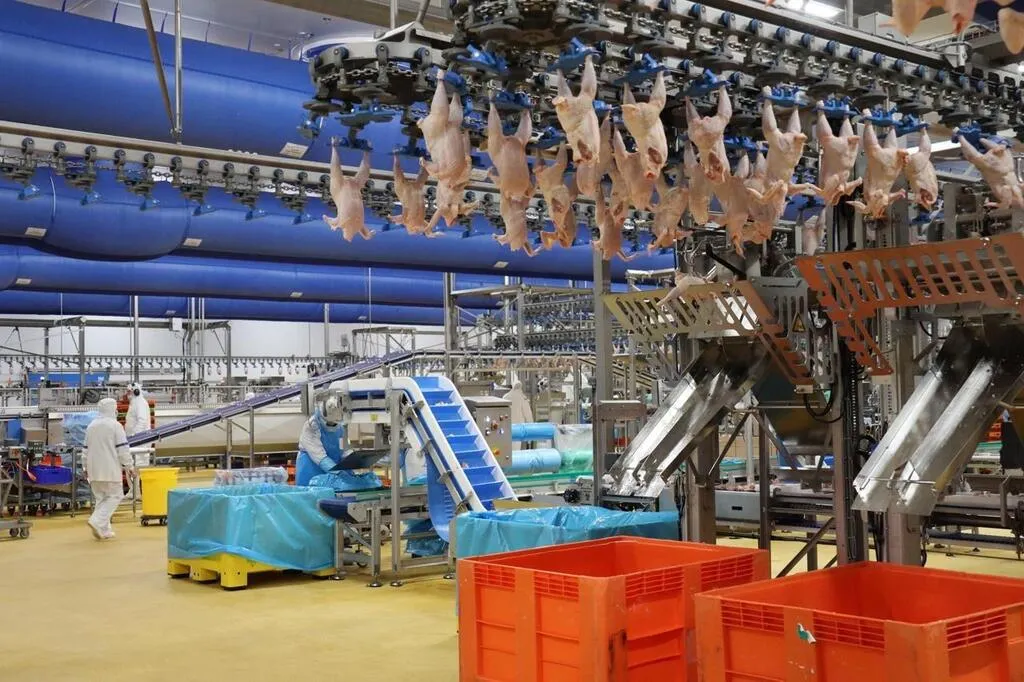 Les bons résultats de la coopérative agricole Terrena - Saint-Nazaire ...