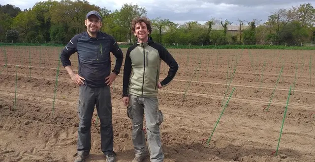 Les vignes de la Ria, un rêve devenu réalité à Belz pour Romain Le ...