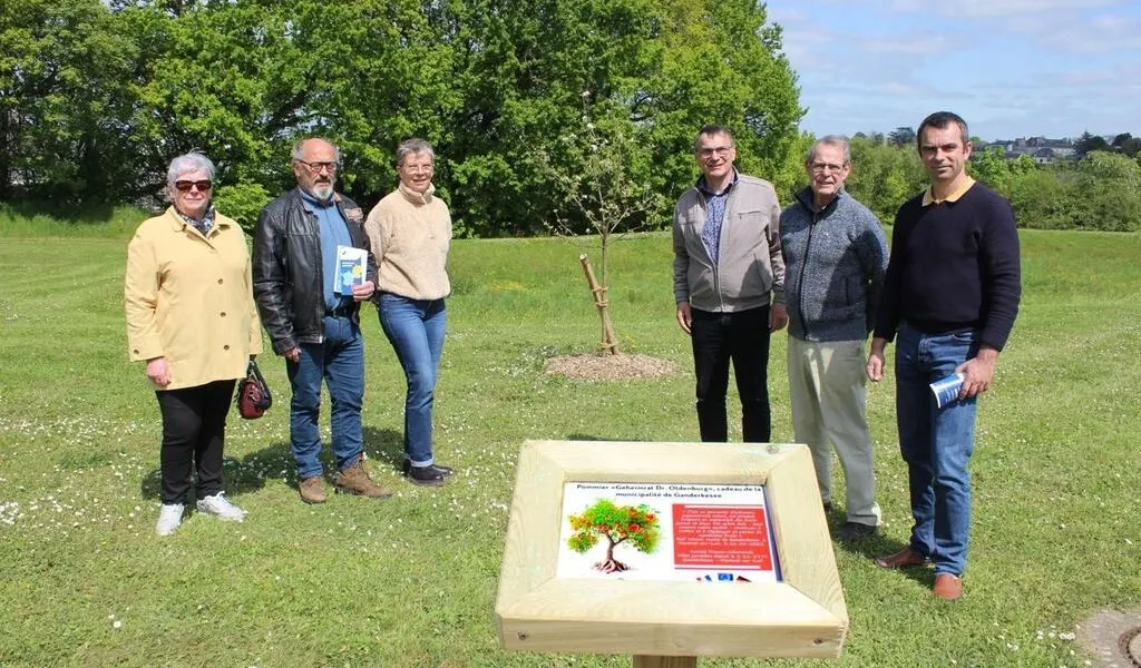 Ce pommier symbolise une amitié qui dure depuis 45 ans - Le Mans ...