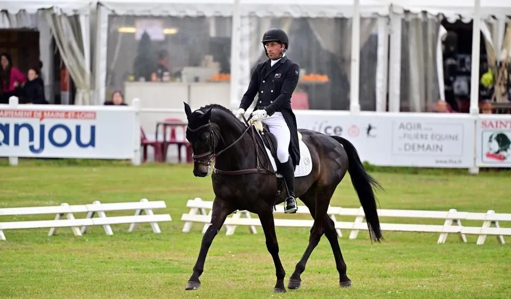 Équitation. Tim Price rêve de Paris : « Si je décrochais l’or, je ...