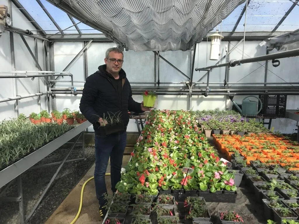 Dans les serres du collège de Parigné-l’Évêque, ce prof cultive la ...