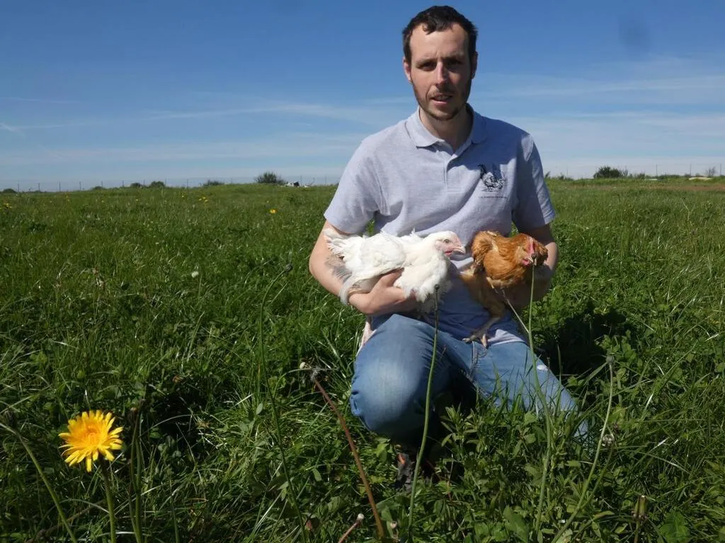 Cet éleveur du pays de Vitré se lance dans la volaille de qualité en ...