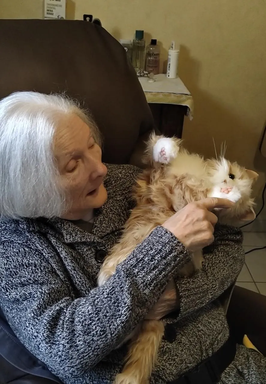 En Vendée, un chat-robot pour apaiser les malades d’Alzheimer - Les ...