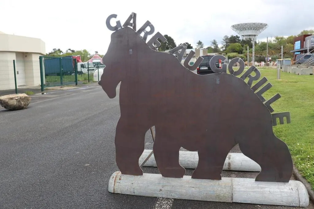 Gare au gorille : un village de chapiteaux de cirque naît au milieu d’un site hors du commun ...