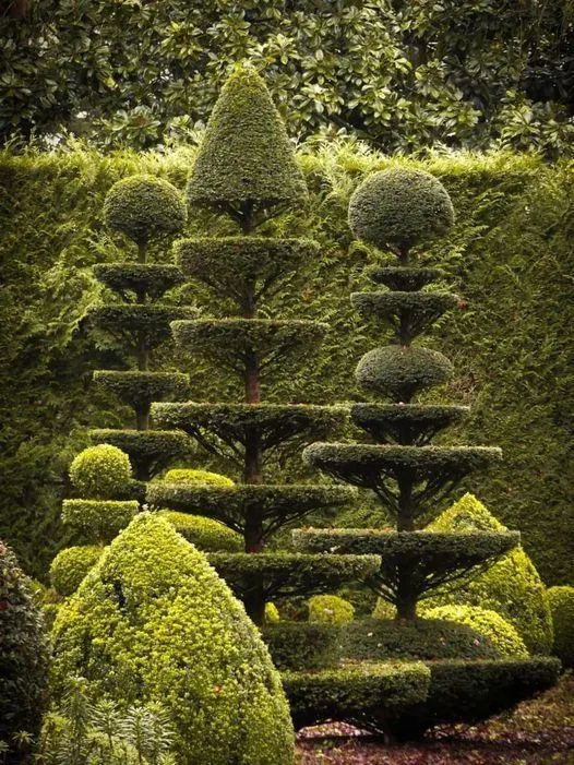 Dans les coulisses de l’art topiaire au château de la Ballue à Bazouges ...