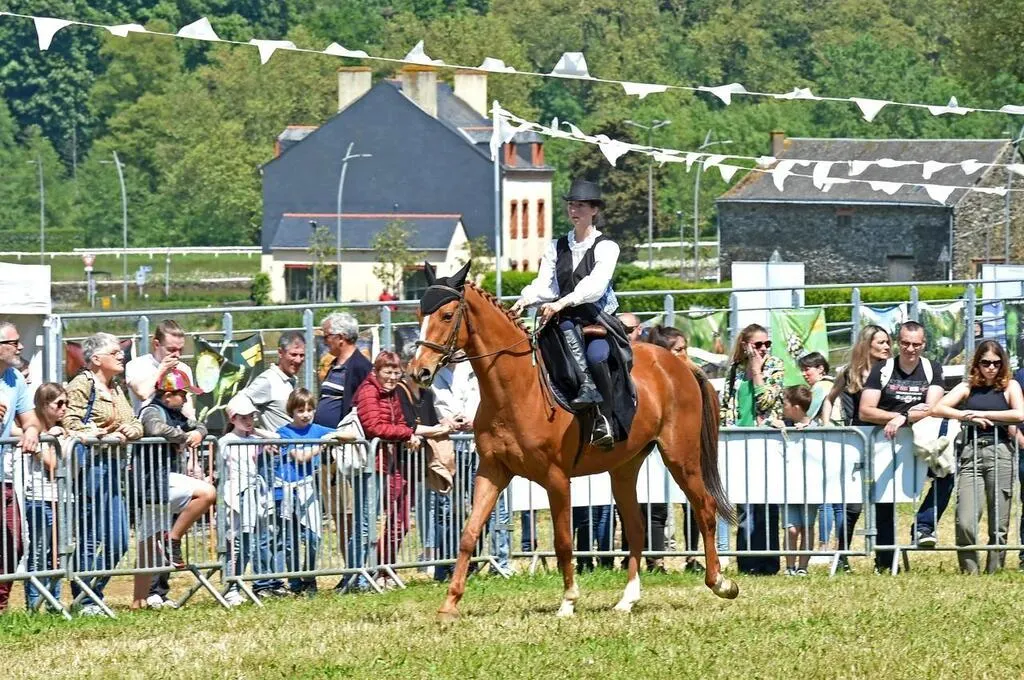 Maine-et-Loire. D’Artagnan continue de tracer sa route à Rochefort-sur ...